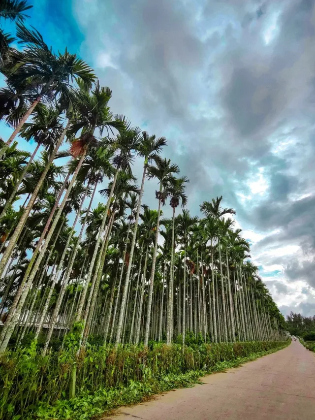 Top 10 Best Places to Visit in Coorg | The Indian Chronicles